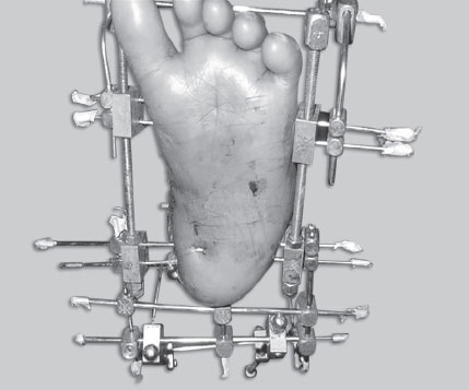 JaypeeDigital | eBook Reader