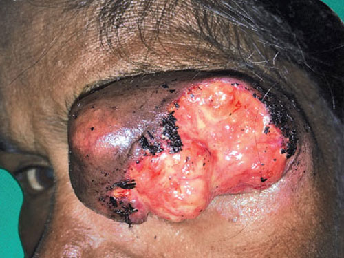 JaypeeDigital | eBook Reader