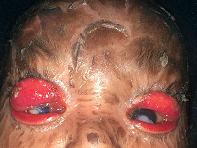 JaypeeDigital | eBook Reader