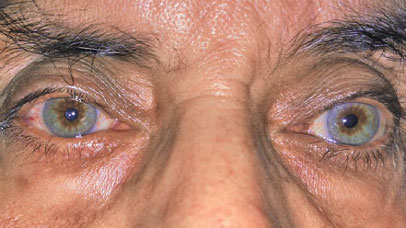 JaypeeDigital | eBook Reader